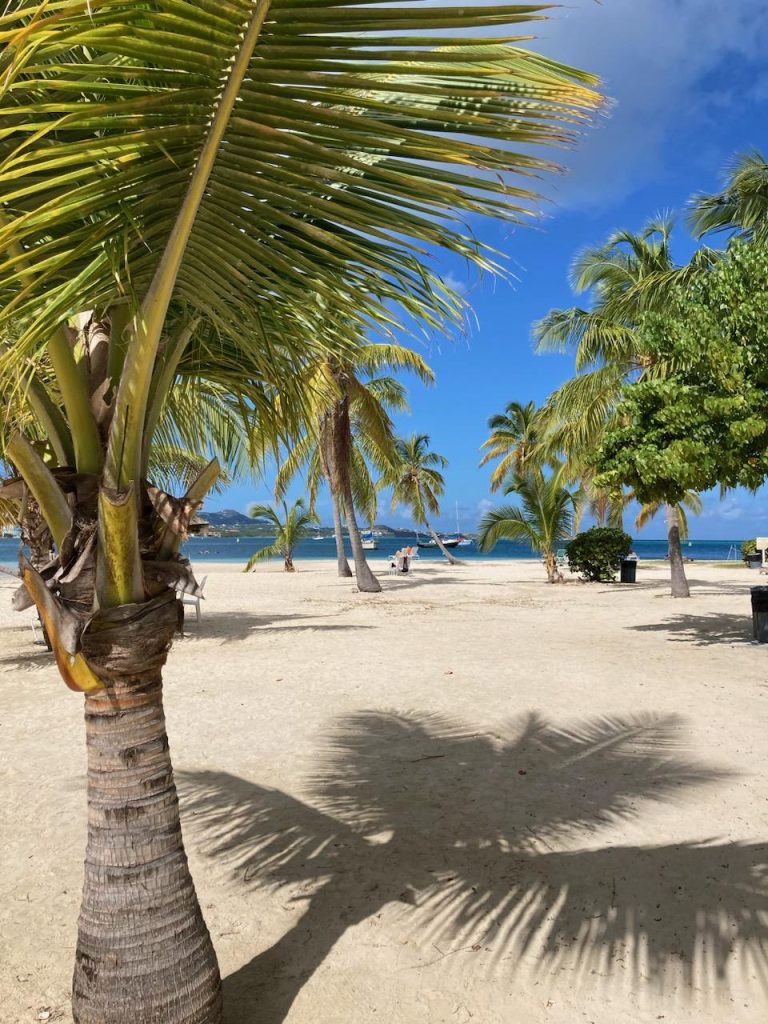 IN-N-OUT Car Rentals – Explore your desired destination with your ...